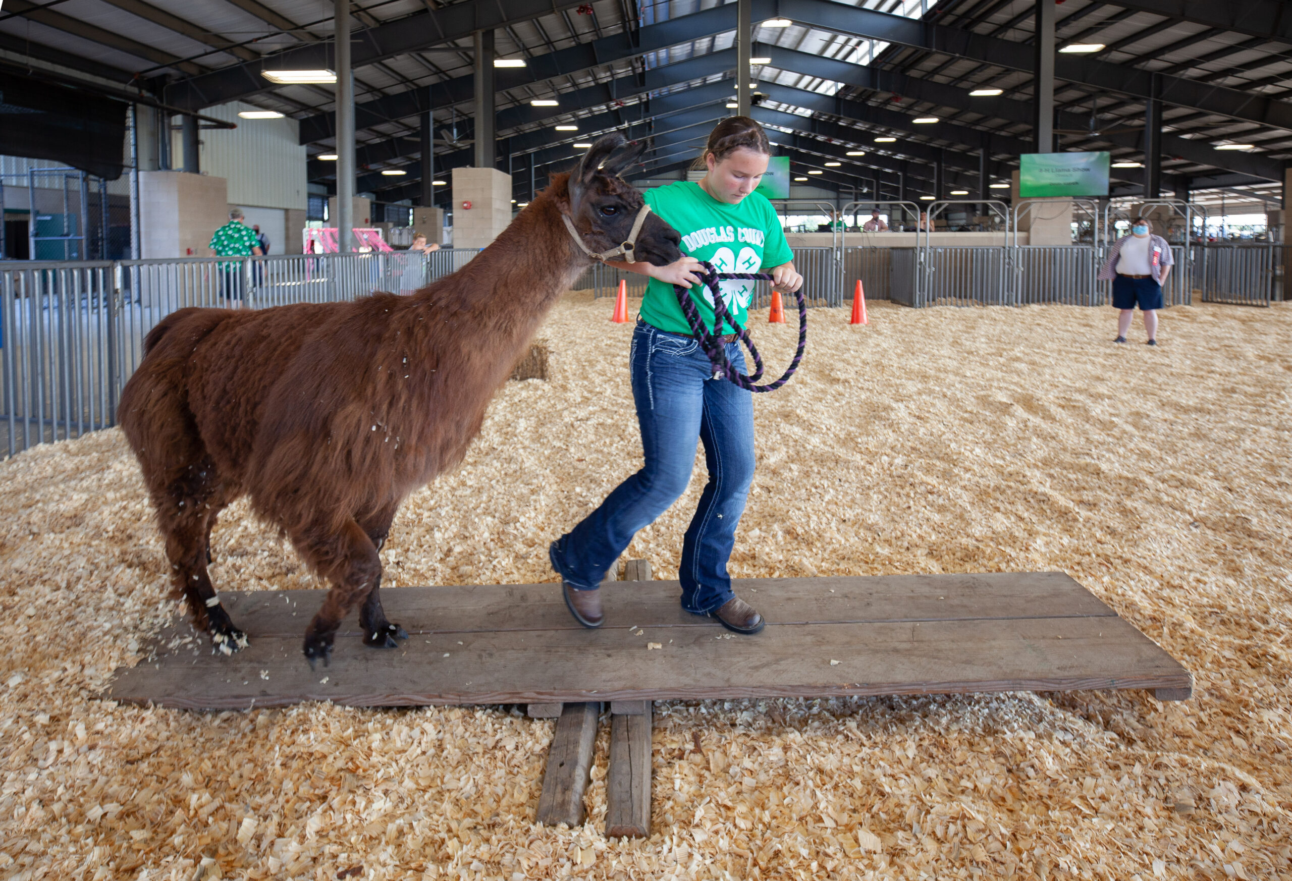 PHOTOS from the Douglas County Fair: A llama obstacle course and more ...